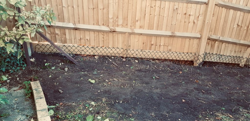 Fox and badger under fence proofing by South London Fencing | South ...